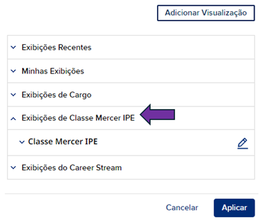 Como gerar um relatório por IPE – Mercer
